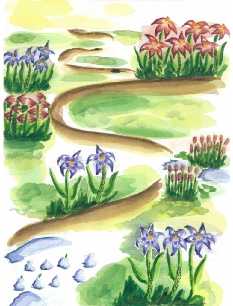 Epigenetic Reprogramming and Mammalian Development – IGMM